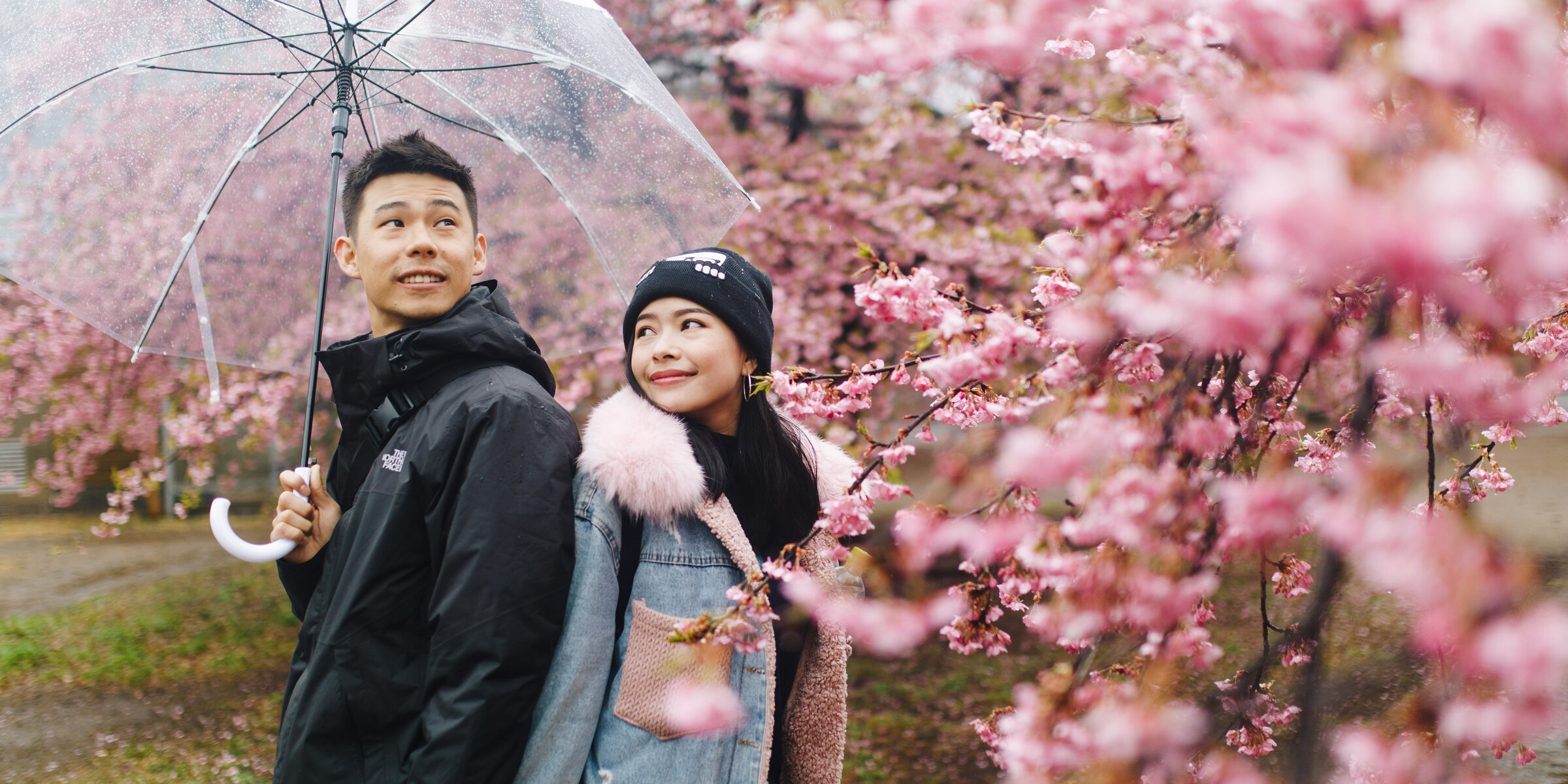 SweetEscape Tips - Japan's Sakura Secrets You Need To Know!
