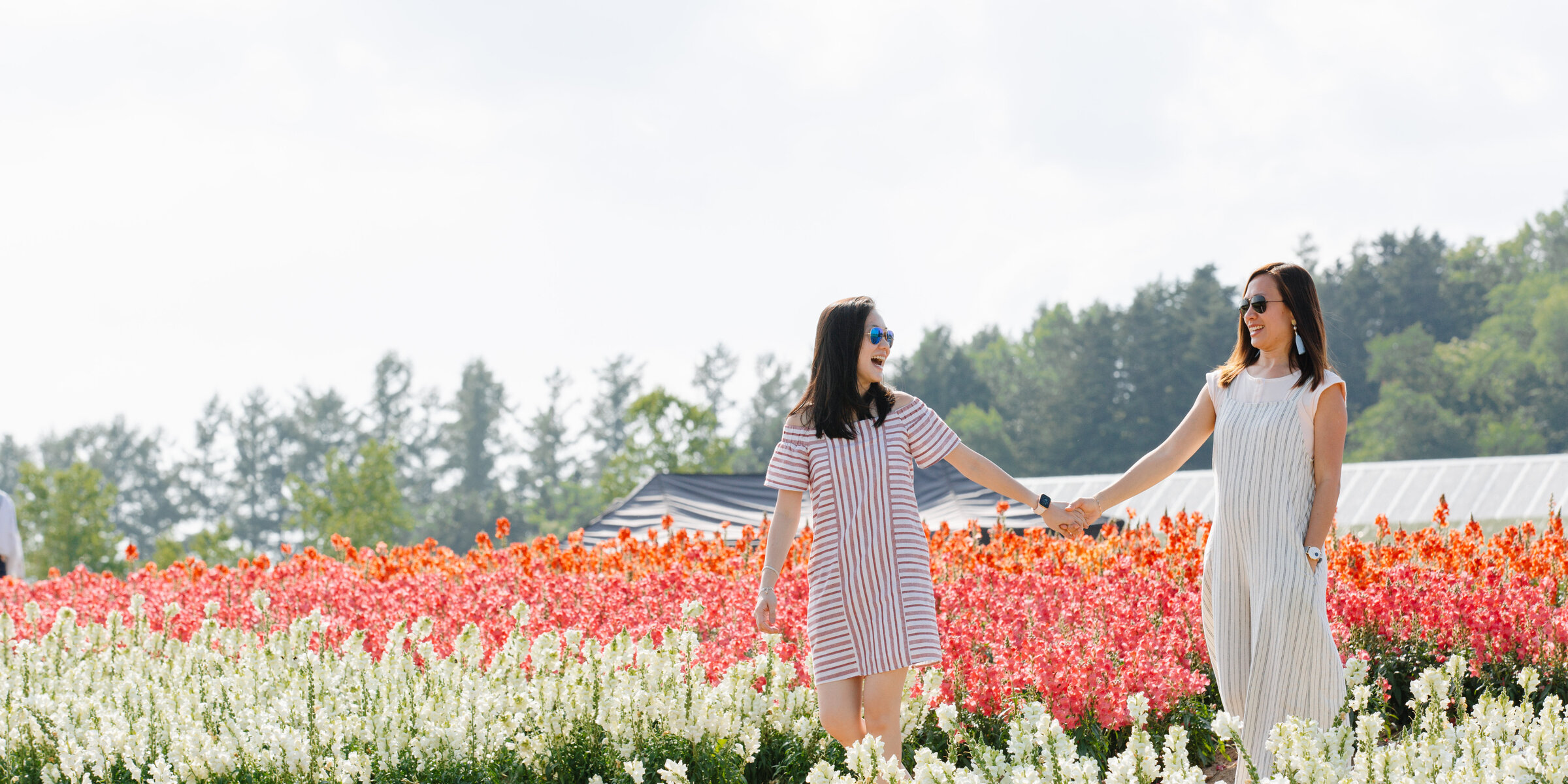 3 Best Spring Movies For You to Watch This Month!