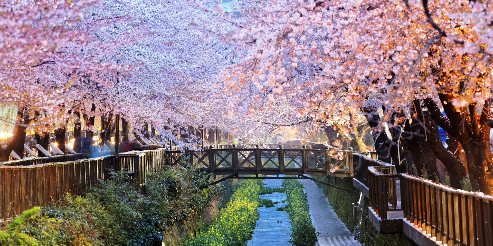 Busan Photography - Professional Photographers for Hire