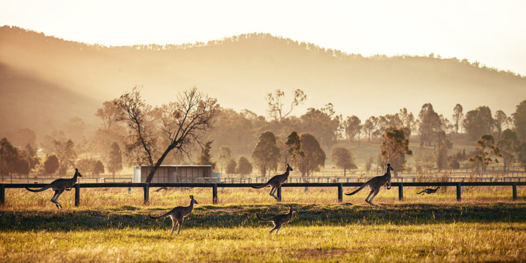 Perth Photography - Professional Photographers for Hire