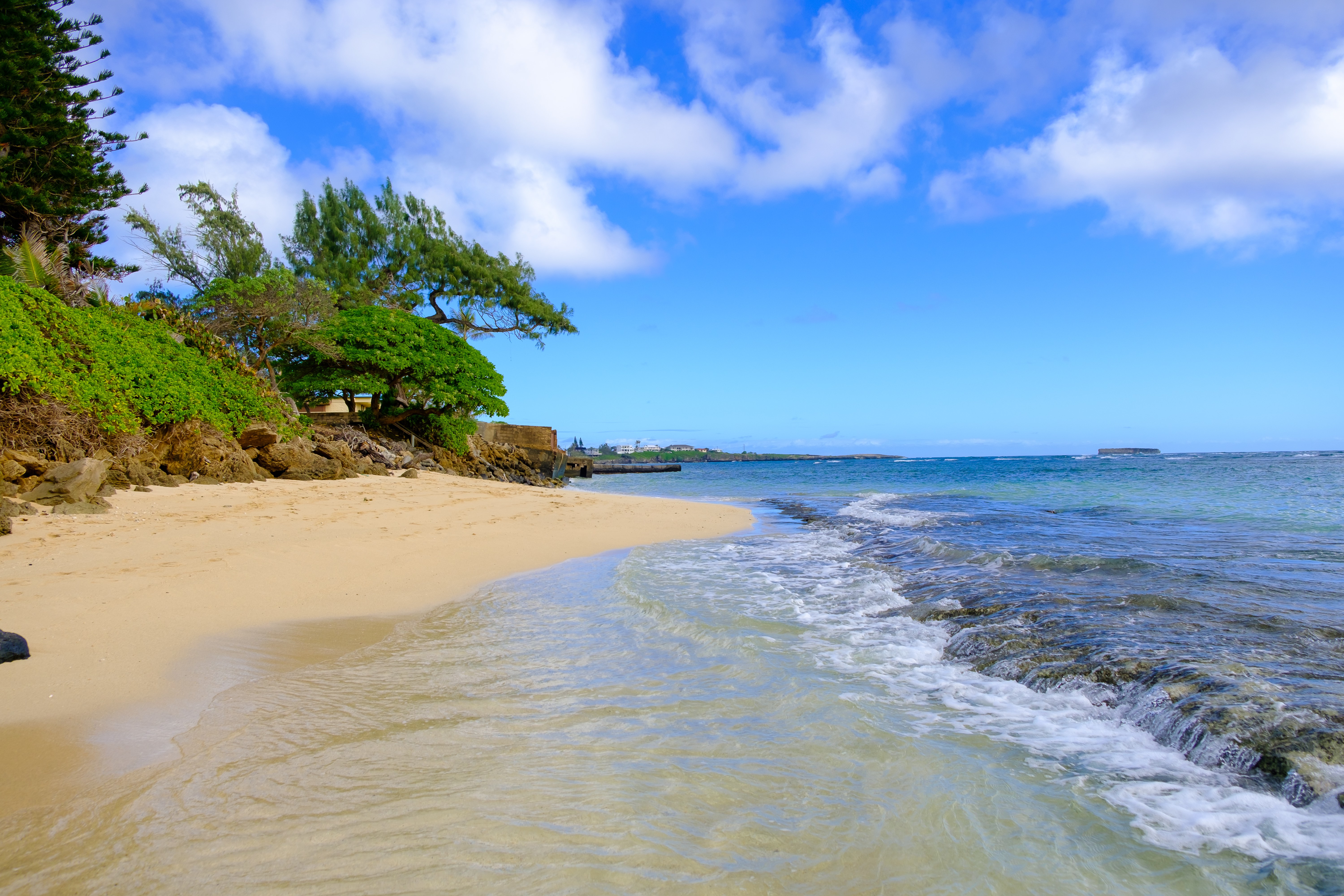 Laie Photography - Professional Photographers for Hire