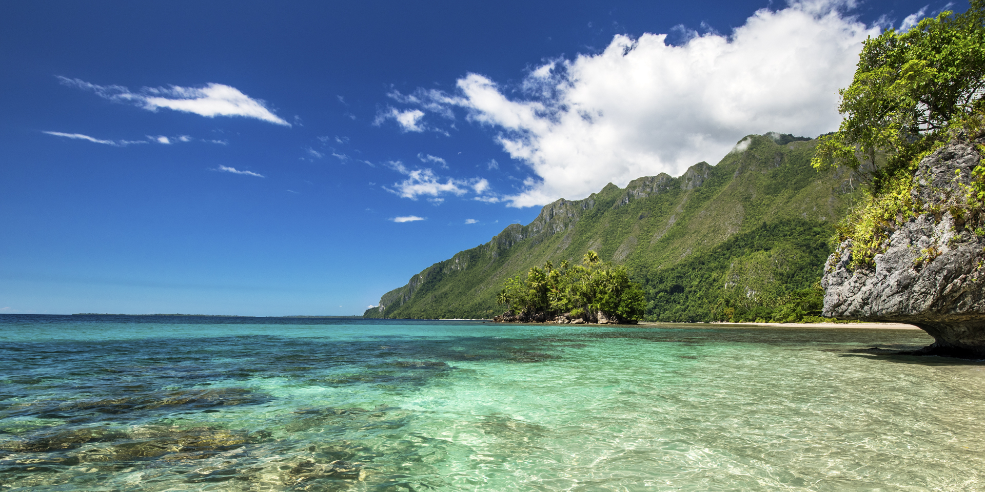 Ora Beach Photography - Professional Photographers for Hire